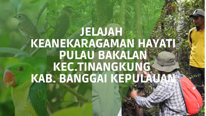 Jelajah, Keanekaragaman Hayati Pulau Bakalan, Kecamatan Tinangkung ... Jelajah, Keanekaragaman Hayati Pulau Bakalan, Kecamatan Tinangkung ...