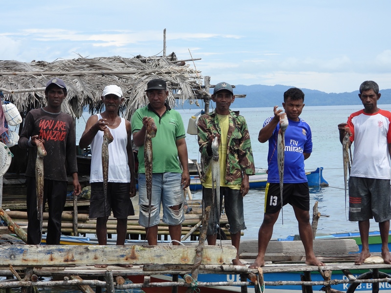 Berat Gurita Capai 3.9 Kg. Buka Tutup Wilayah Tangkap Gurita Di Pulau ... Berat Gurita Capai 3.9 Kg. Buka Tutup Wilayah Tangkap Gurita Di Pulau ...